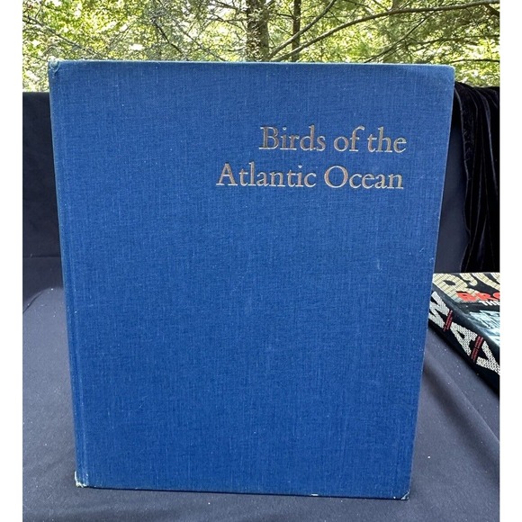 Accents | Birds Of The Atlantic Ocean Text By Ted Stokes Paintings By ...